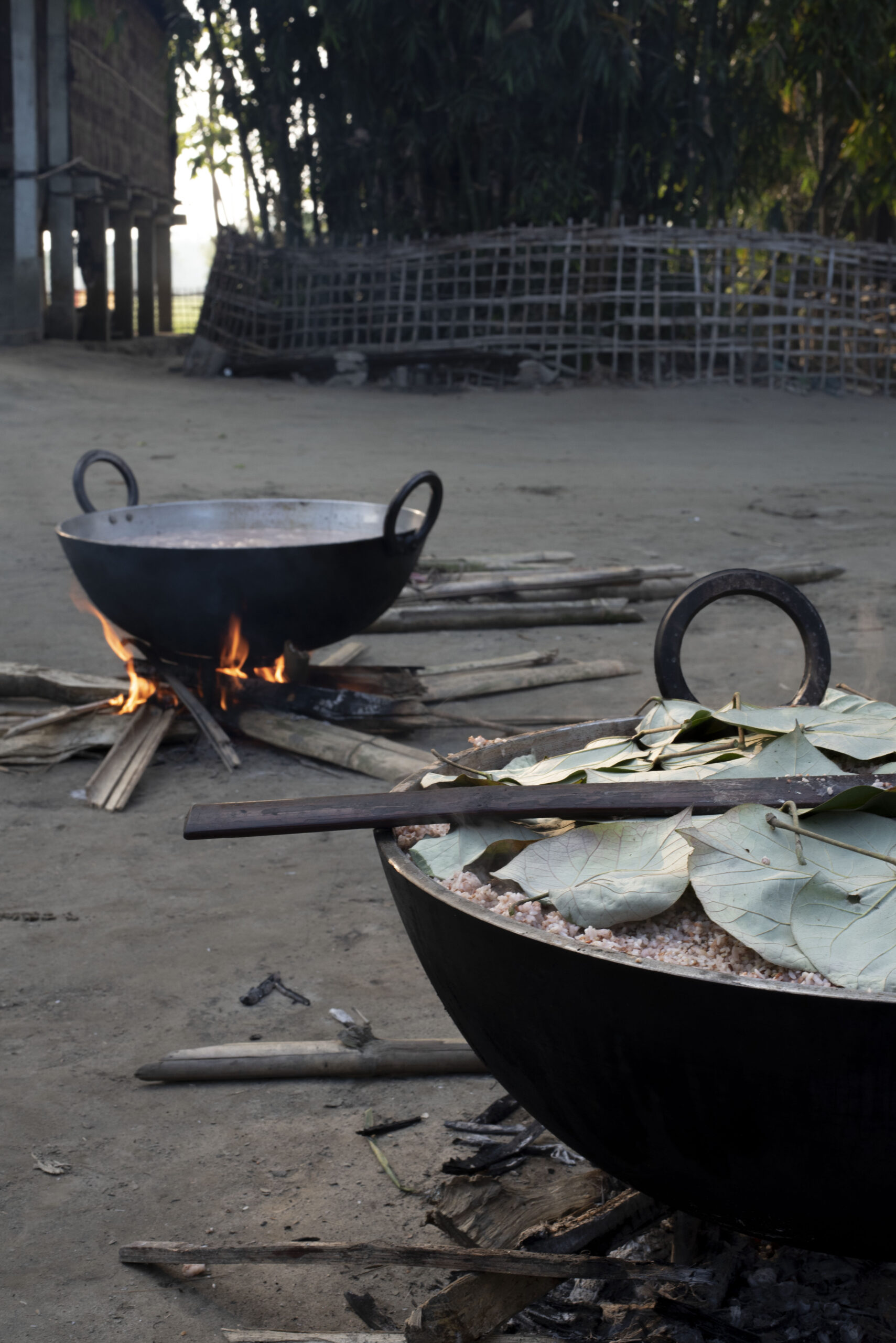 Fermented Alcoholic Beverages in North East India | Ara to Apong