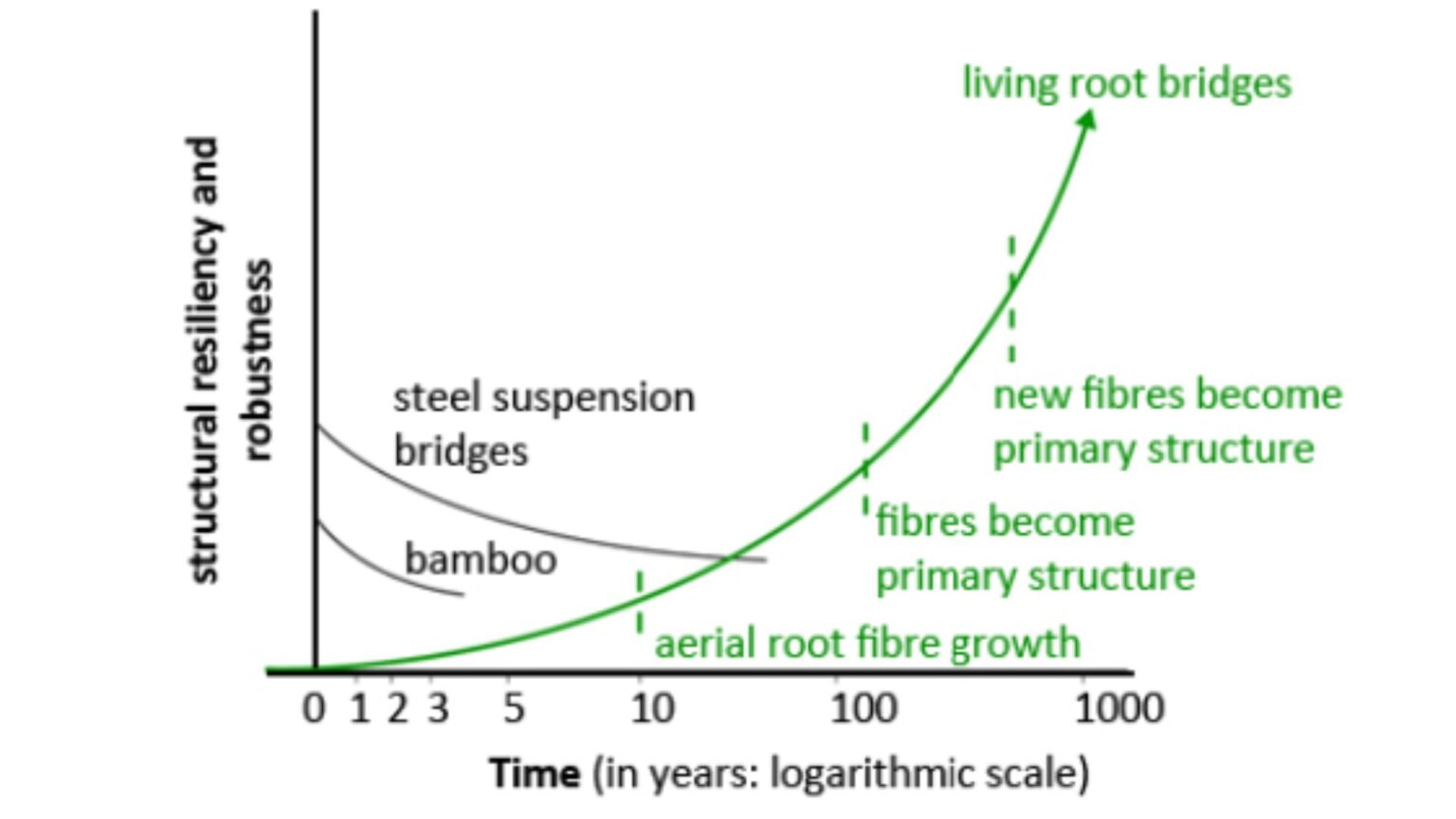 Bio-Engineering Wonders : The Story of the Living Root Bridges
