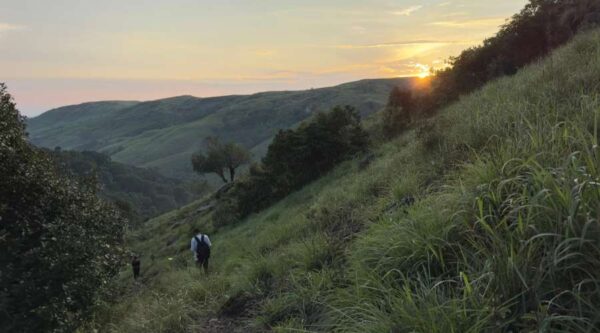 Things to do in Meghalaya : A Traveller's Guide