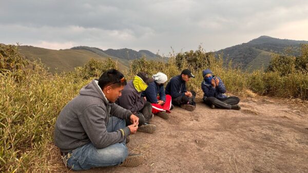 Dzükou Valley Guide: Trekking, Flora & Seasons