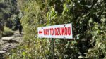Dzükou Valley Guide: Trekking, Flora & Seasons
