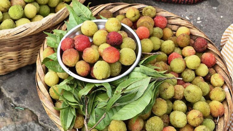 Eat Like a Local- The Exotic Summer Fruits of North-East India - ChaloHoppo