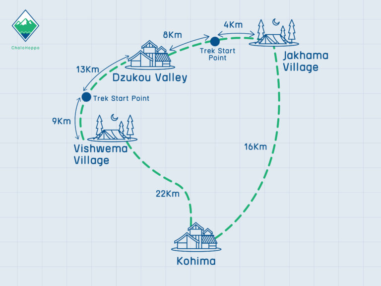 Dzükou Valley Guide: Trekking, Flora & Seasons