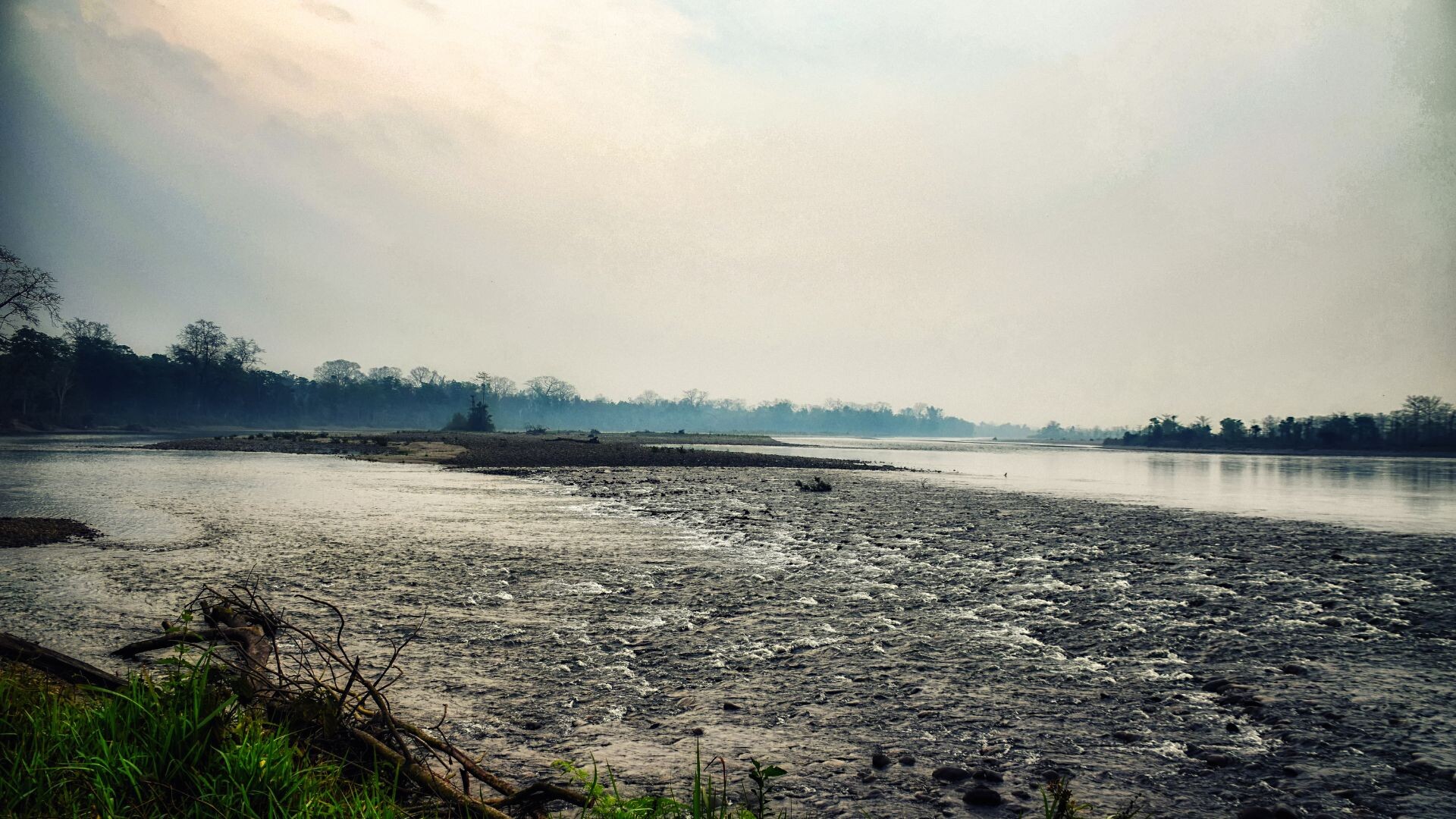 Assam’s Wild Treasures: National Parks & Wildlife Sanctuaries