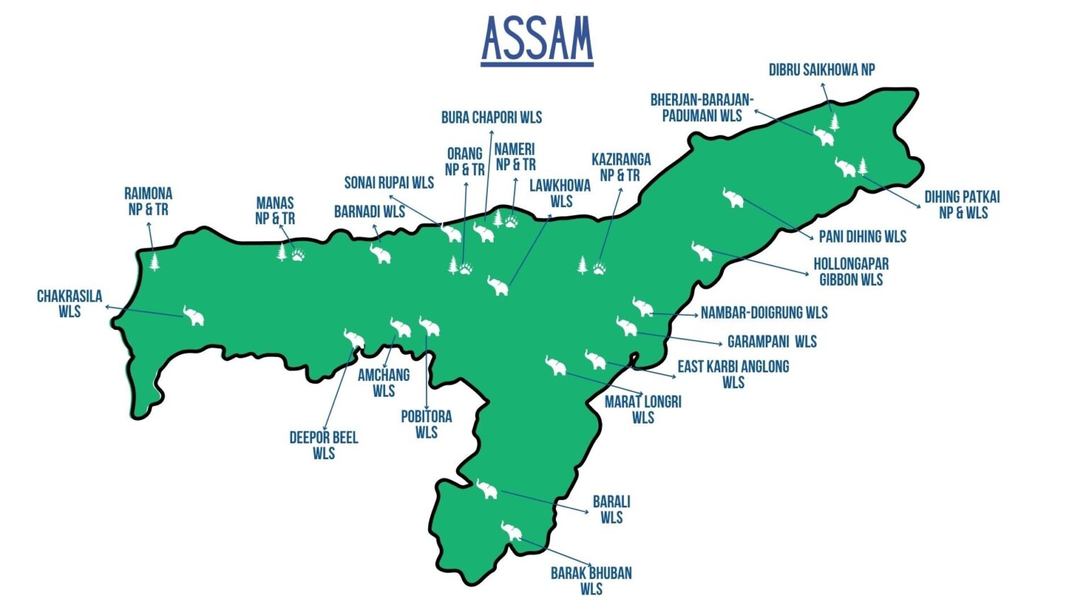 Assam’s Wild Treasures: National Parks & Wildlife Sanctuaries