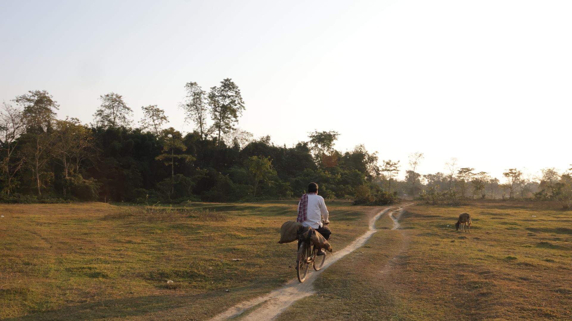 Majuli Island: Festivals, Floods & the Spirit of Assam