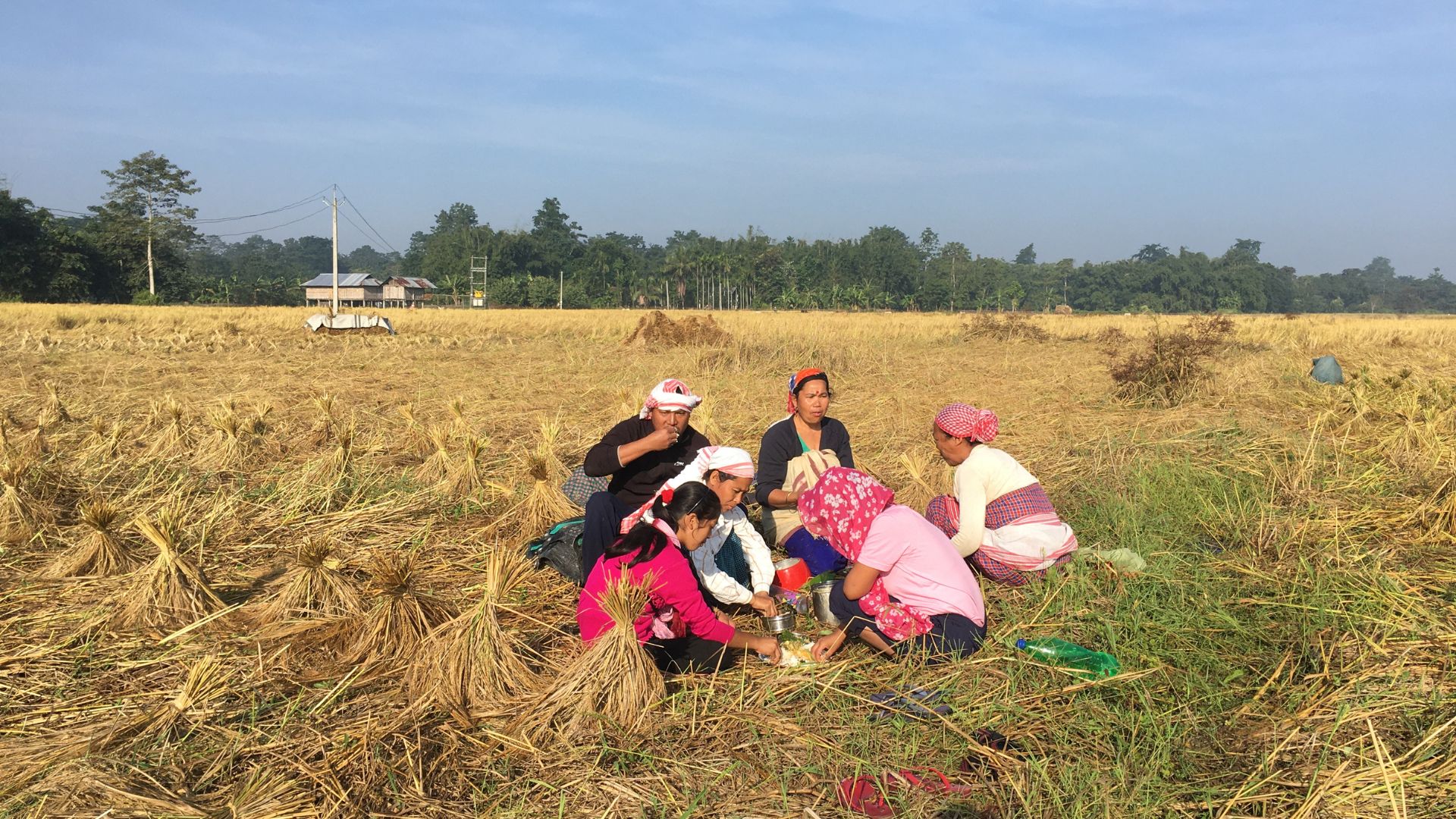 Majuli Island: Festivals, Floods & the Spirit of Assam