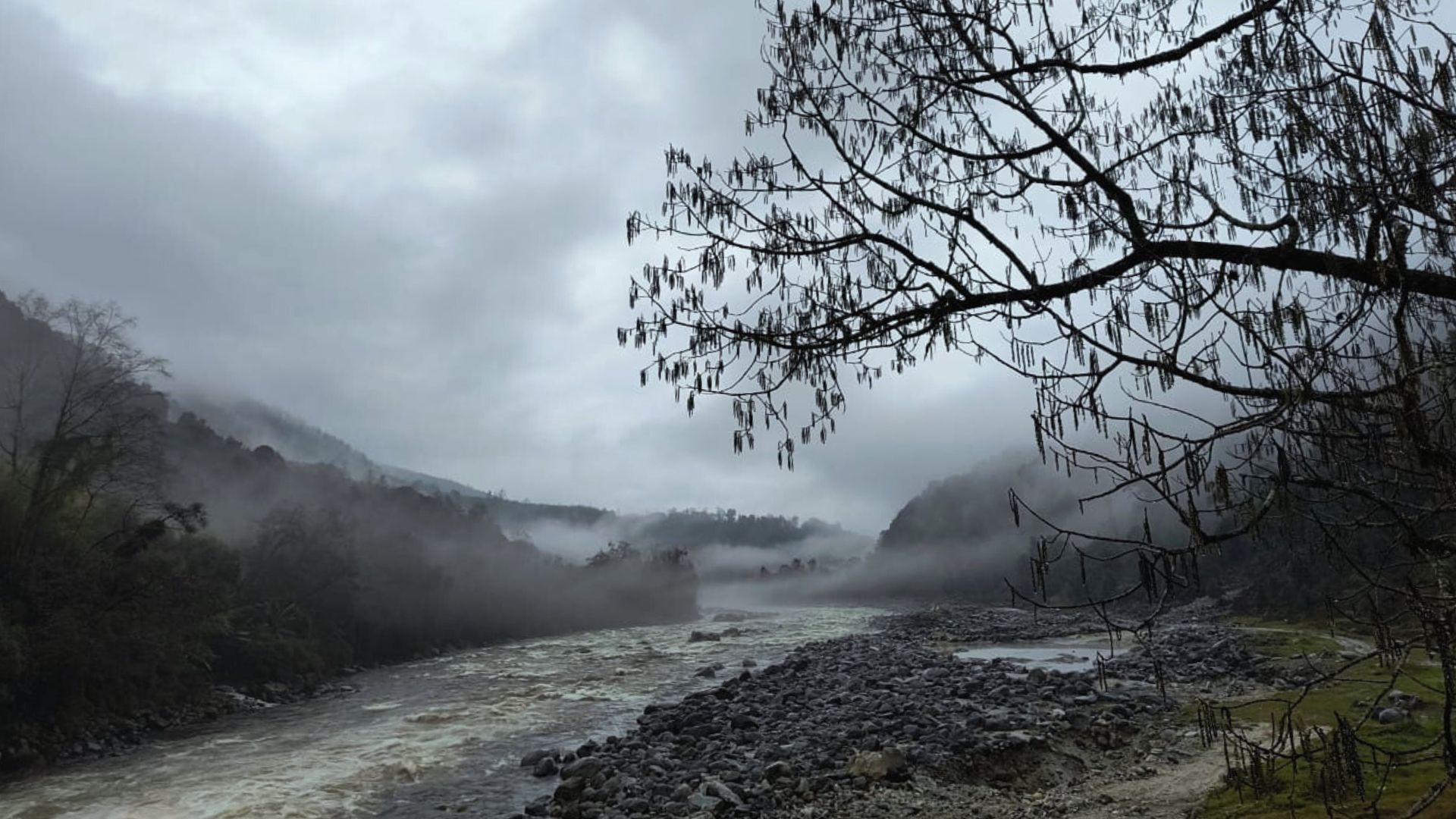 Guardians of the Wild: The Idu Mishmi Tribe of Arunachal Pradesh